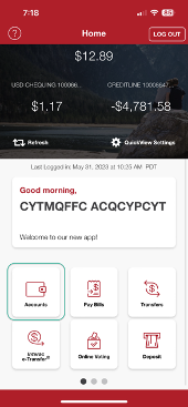 What's the number beside each of my financial accounts? - Learning Hub
